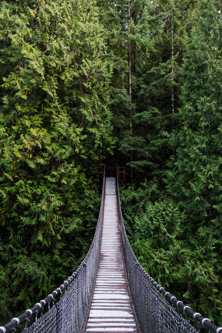 Project Delivery | Fuse Advisors | Vancouver Project Management Services