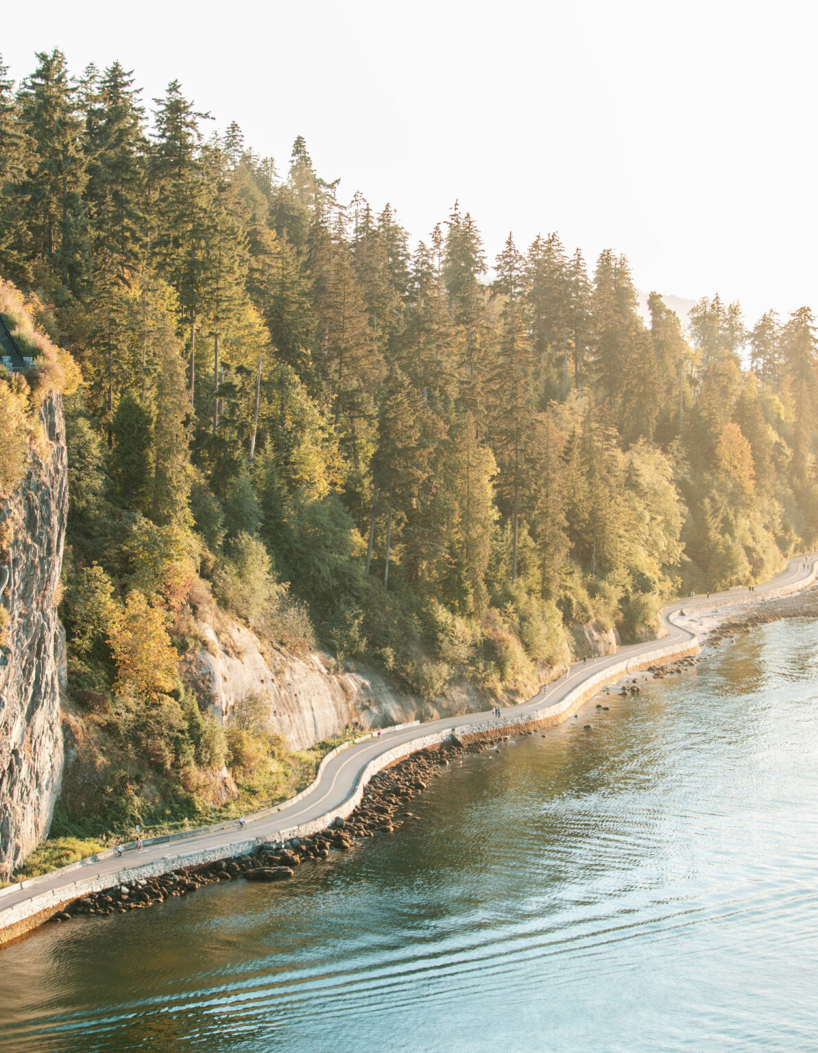 Careers | Employment Opportunities at Fuse Advisors | Vancouver ...